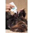 FORTICEPT Anti-Itch Ear Infection Treatment Drops for Dogs & Cats, 2-fl ...