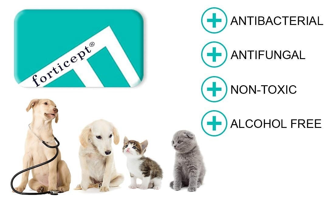 FORTICEPT Blue Butter Antimicrobial Gel for Dogs & Cats, 8-oz - Chewy.com