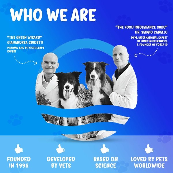 FORZA10 Nutraceutic Active Dermo Dry Dog Food, 22-lb bag - Chewy.com