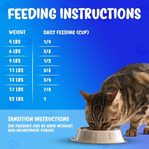 Discontinued - FORZA10 Nutraceutic Active Line Dermo Dry Cat Food, 4-lb bag - Chewy.com