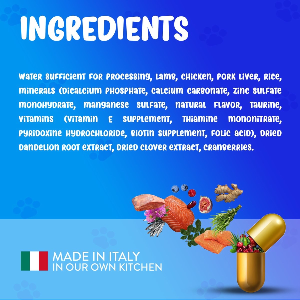 FORZA10 Nutraceutic Actiwet Renal Support Wet Cat Food, 3.5-oz, case of 32 - Chewy.com