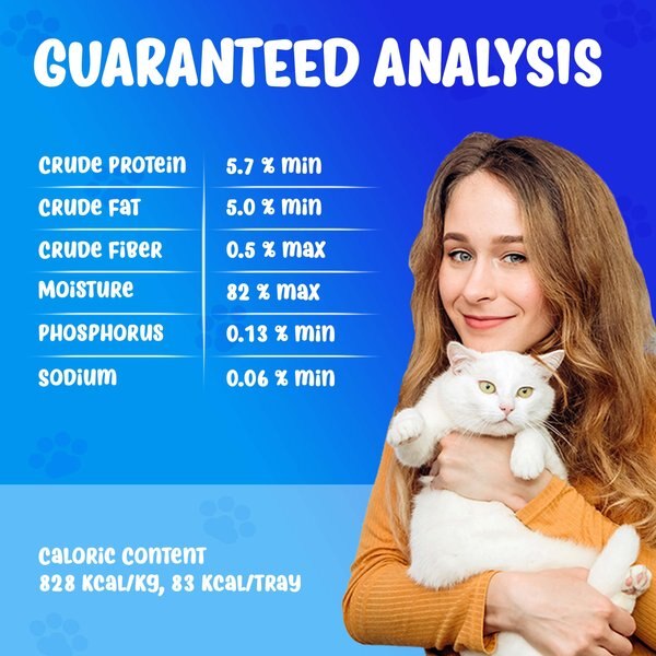 FORZA10 Nutraceutic Actiwet Renal Support Wet Cat Food, 3.5-oz, case of 32 - Chewy.com