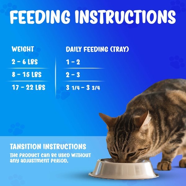 FORZA10 Nutraceutic Actiwet Renal Support Wet Cat Food, 3.5-oz, case of 32 - Chewy.com