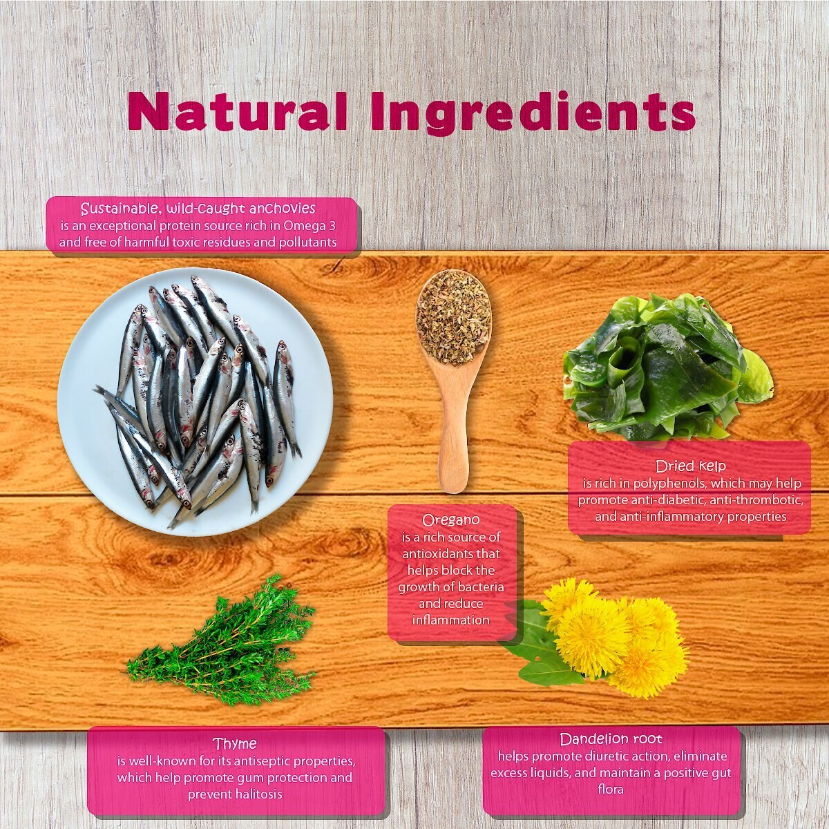 Discontinued - FORZA10 Nutraceutic Legend Digestion Grain-Free Wild Caught Anchovy Dry Dog Food ...