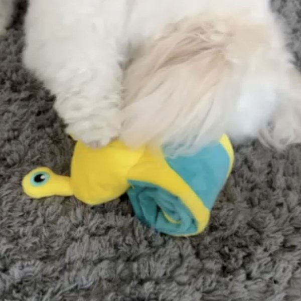 FOUFIT Hide 'n Seek Roll-Ups, Snail Squeaky Dog Treat-Dispensers Toy ...