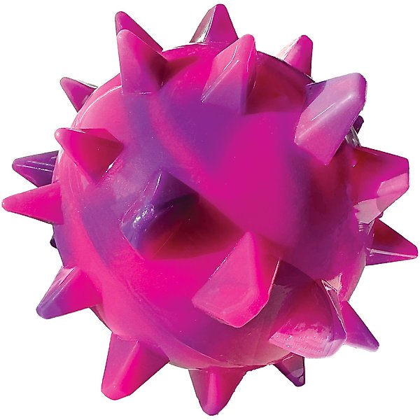 JW PET Hol-ee Roller Dog Toy, Color Varies, Small - Chewy.com