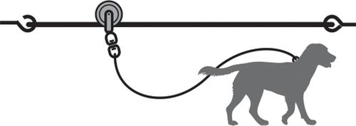 FOUR PAWS Heavy Weight Overhead Trolley Exerciser, 100-ft - Chewy.com