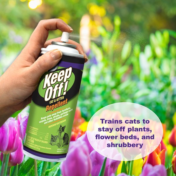 FOUR PAWS Keep Off! Outdoor & Indoor Cat Repellent Spray, 6-fl oz ...