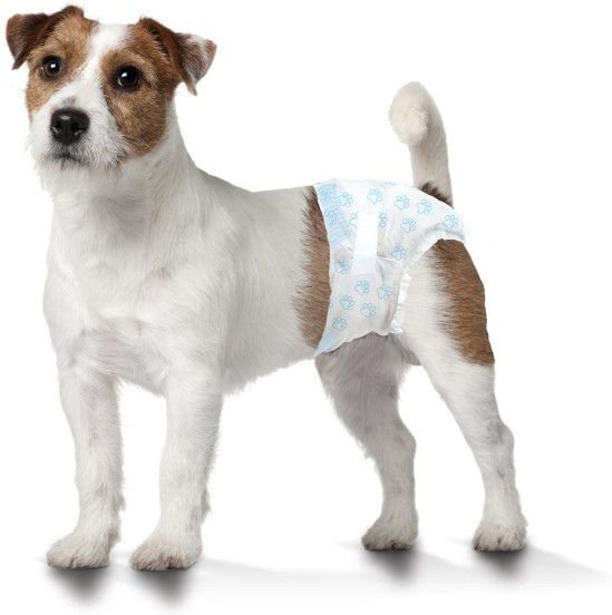 FEMALE DOG DIAPERS & WRAPS (Free Shipping) | Chewy