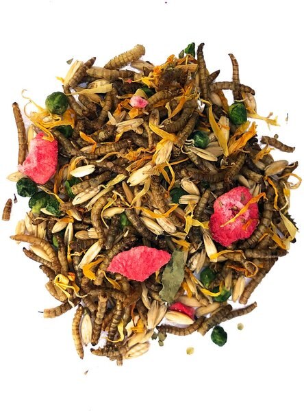 FOWL TREATS Mealworm Blend Solstice Blend Chicken & Duck Treats, 2-lb ...