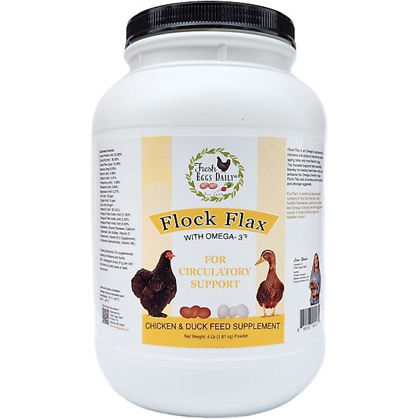 Out of Stock - FRESH EGGS DAILY Coop Kelp Organic Chicken & Duck ...