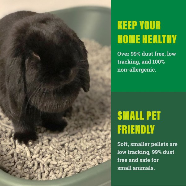 FRESH NEWS Recycled Paper Small Animal Litter, 20-L - Chewy.com