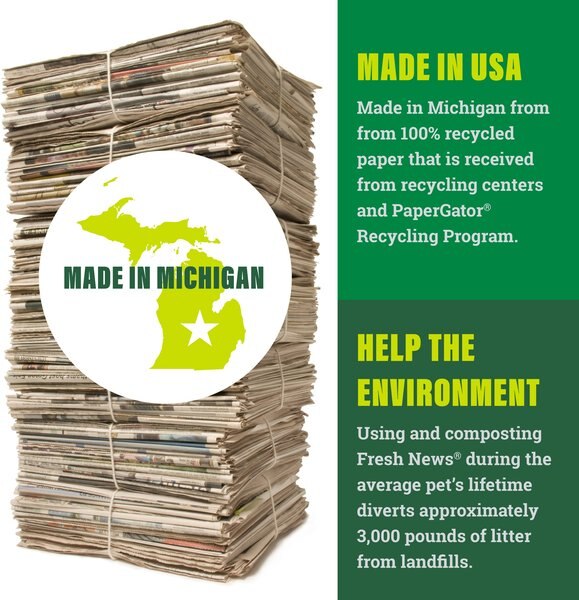 FRESH NEWS Unscented Non-Clumping Paper Cat Litter, 12-lb bag, bundle ...