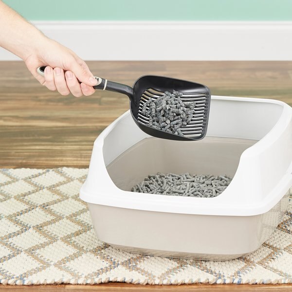 FRESH NEWS Unscented Non-Clumping Paper Cat Litter, 12-lb bag, bundle ...