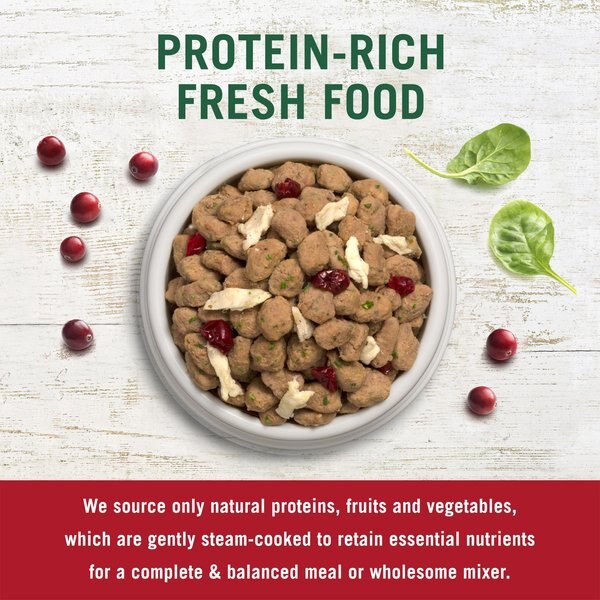 FRESHPET Healthy & Natural Small Breed Non-GMO Beef, Turkey & Lamb ...