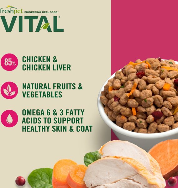 FRESHPET Vital Chicken Recipe Grain-Free Small Breed Fresh Dog Food, 1 ...