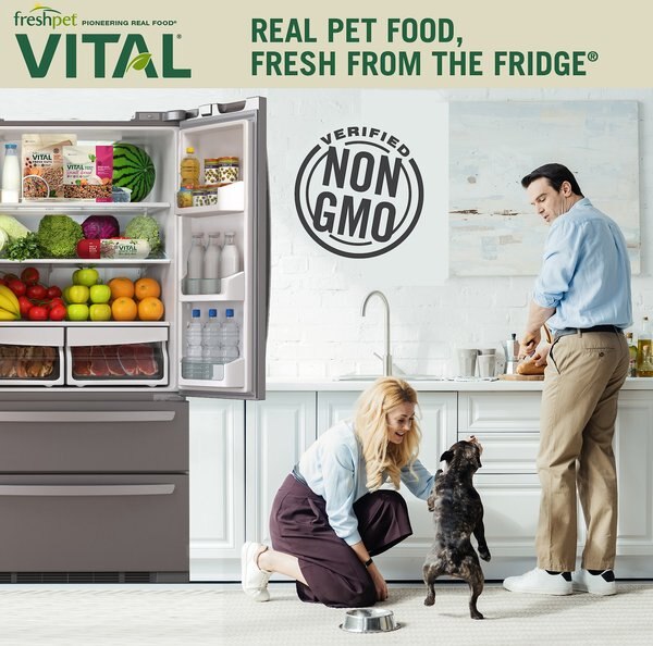 FRESHPET Vital Chicken Recipe Grain-Free Small Breed Fresh Dog Food, 1 ...