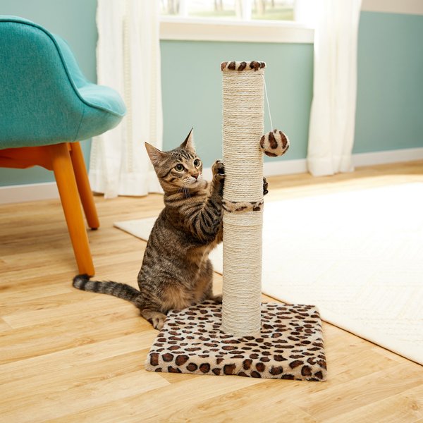 FRISCO 21-in Sisal Cat Scratching Post with Toy, Cheetah, 1 count ...