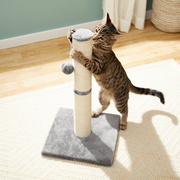 FRISCO 21-in Sisal Cat Scratching Post with Toy, Gray, 1 count - Chewy.com