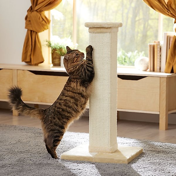 FRISCO 35-in Heavy Duty Sisal Cat Scratching Post with Toy, Dark ...