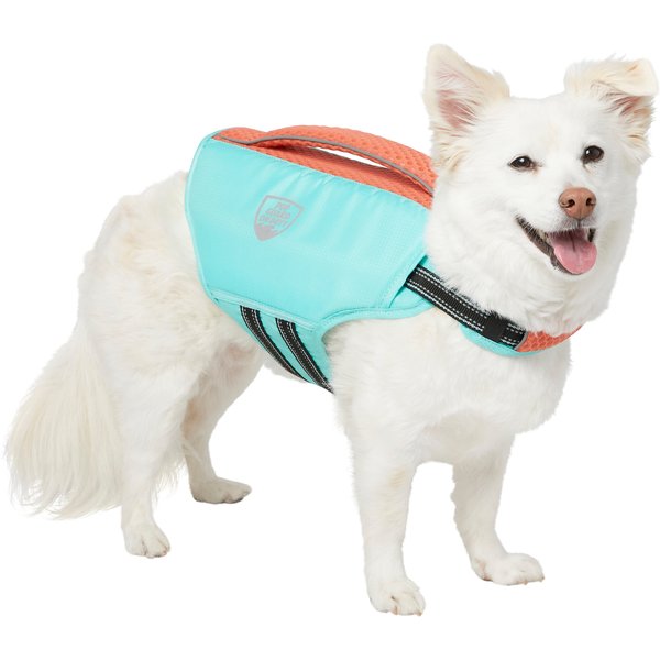 FRISCO Shark Dog Life Jacket, Gray, Small - Chewy.com
