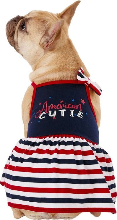 Summer Dog Clothing - Free shipping | Chewy