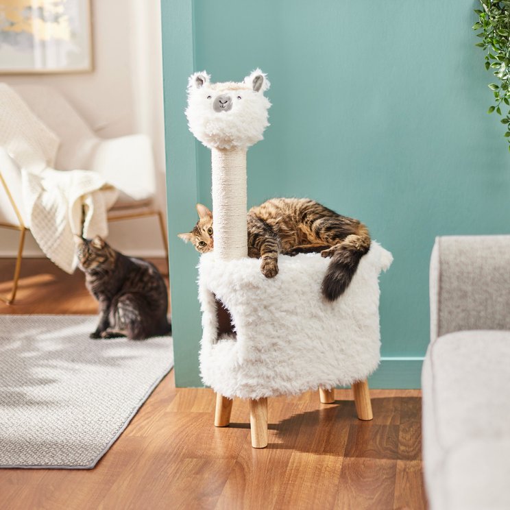 Best Cat Trees: Cat Condos, Towers & Stands (Free Shipping) | Chewy