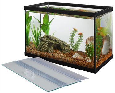 Fish Tank & Aquarium Kit | Chewy