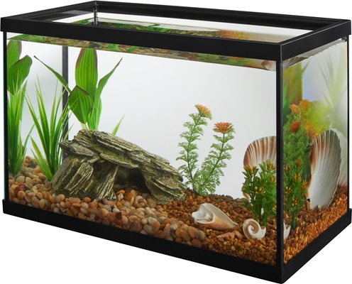 FRESHWATER FISH TANKS & AQUARIUMS (Free Shipping) | Chewy