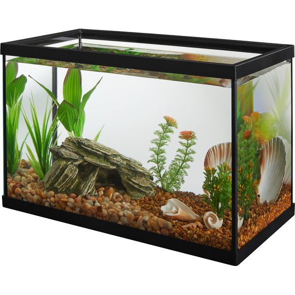 10 Best Fish Tanks & Aquariums 2025: According to Reviews | Chewy