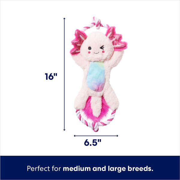 FRISCO Axolotl Plush with Rope Squeaky Dog Toy, Medium/Large - Chewy.com