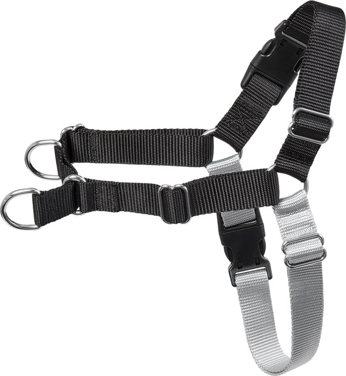 Pet Harnesses - Page 2 (Free Shipping) | Chewy