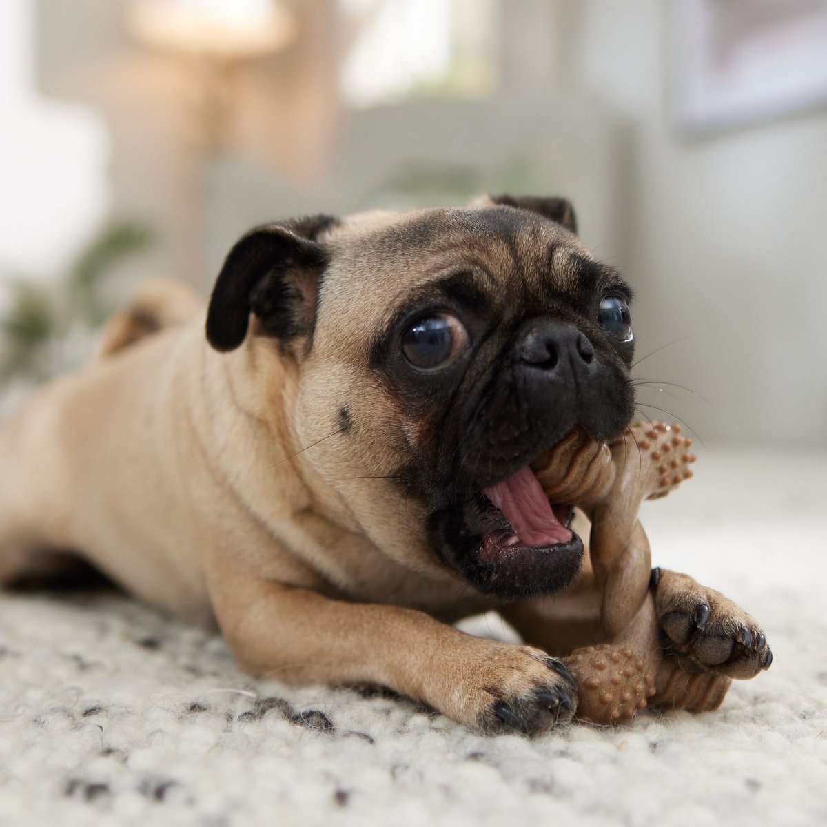 FRISCO Beef Flavored Twist Bone Nylon Chew Dog Toy for Heavy Chewers ...
