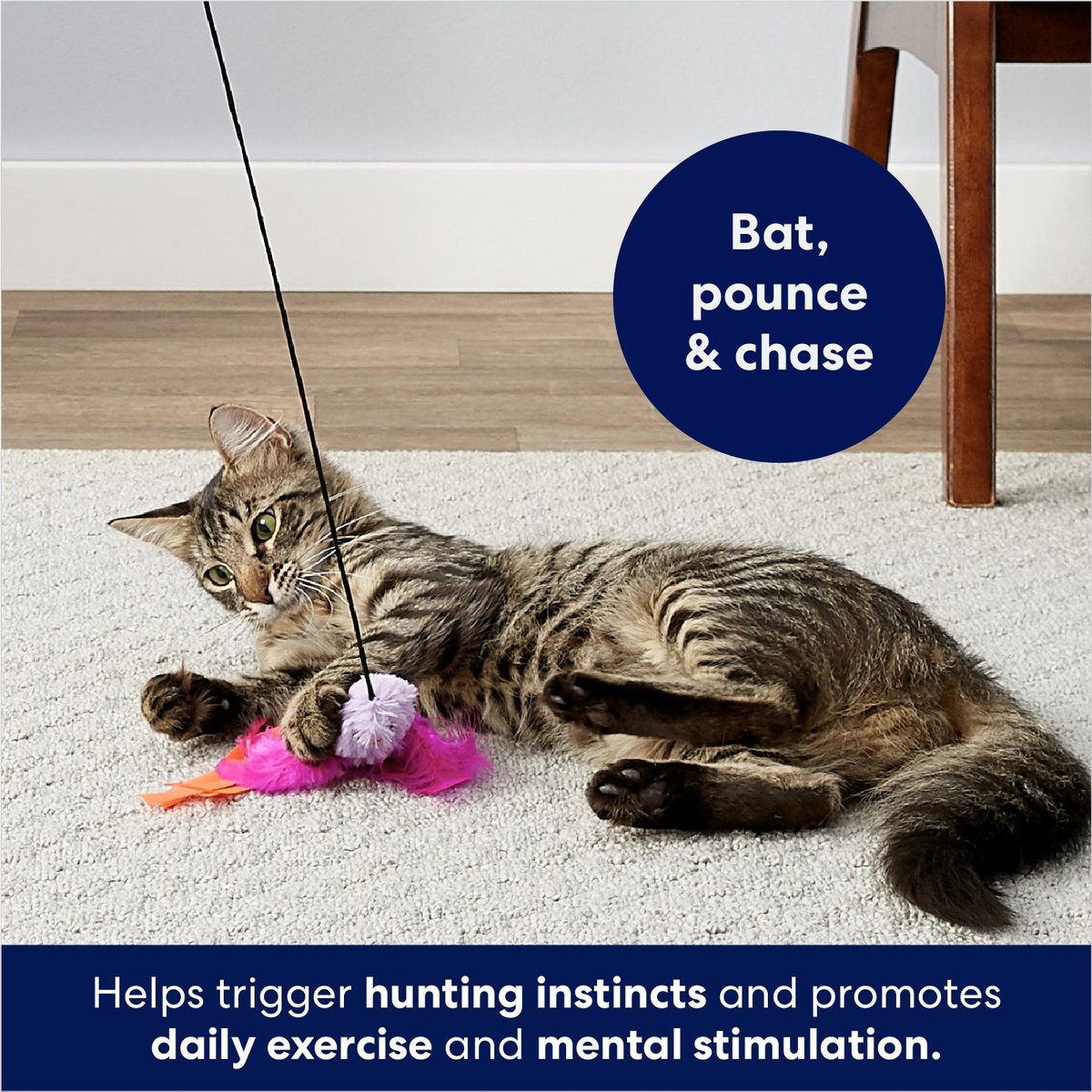 FRISCO Bird with Feathers Teaser Wand Cat Toy with Catnip, Purple ...