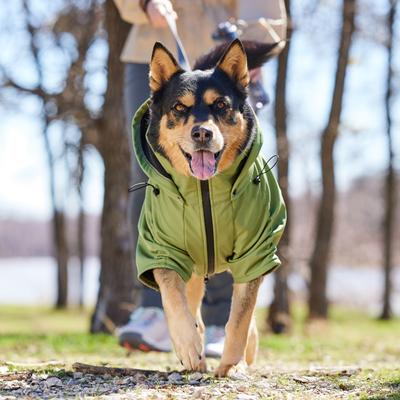 Discontinued - FRISCO Bonded Wind & Water Resistant Dog & Cat Coat With ...
