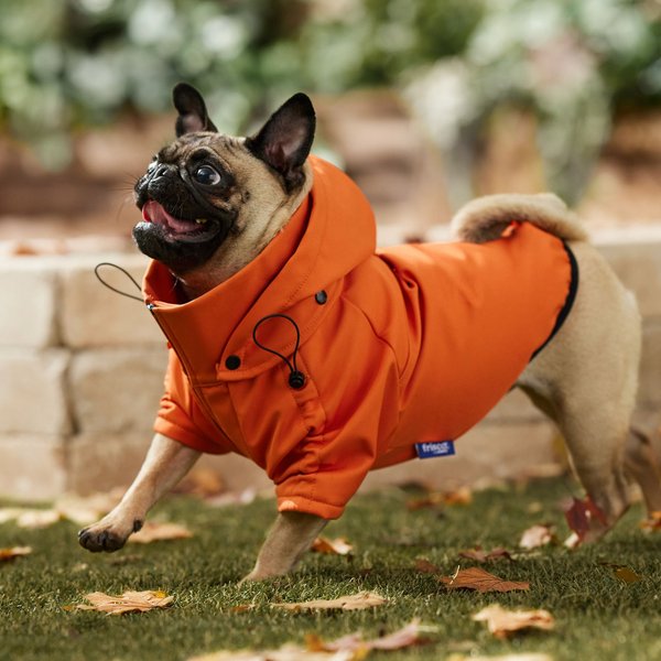 FRISCO Bonded Wind & Water Resistant Dog & Cat Coat With Removable Hood ...