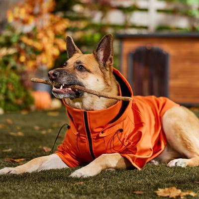 Discontinued - FRISCO Bonded Wind & Water Resistant Dog & Cat Coat With ...