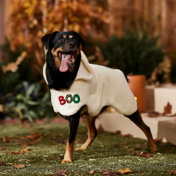 FRISCO Boo-Tastic Ghost Dog & Cat Costume Cape, XX-Large - Chewy.com