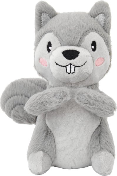 FRISCO Camping Squirrel Plush Squeaky Dog Toy, Small/Medium - Chewy.com