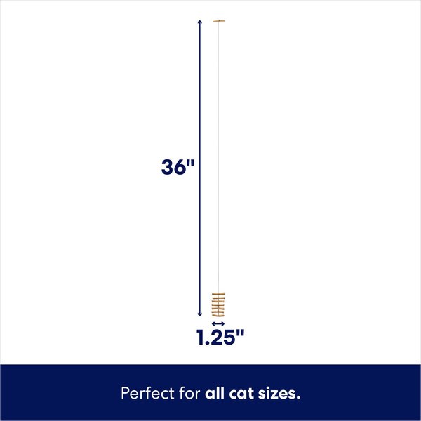 FRISCO Cardboard & Wire Teaser Cat Toy - Chewy.com