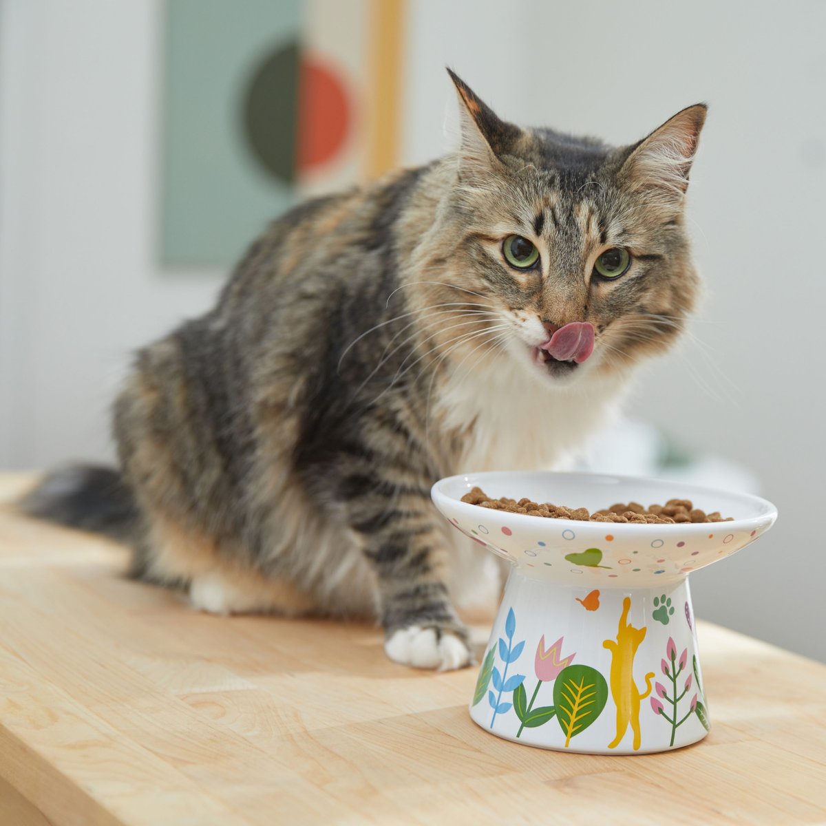 FRISCO Cat Face Floral Wide Shape Elevated Non-Skid Ceramic Cat Bowl ...