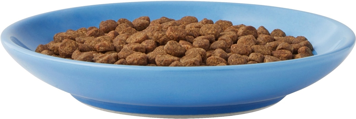 Discontinued - FRISCO Cat Face Non-skid Ceramic Cat Dish, Blue, 0.50 ...