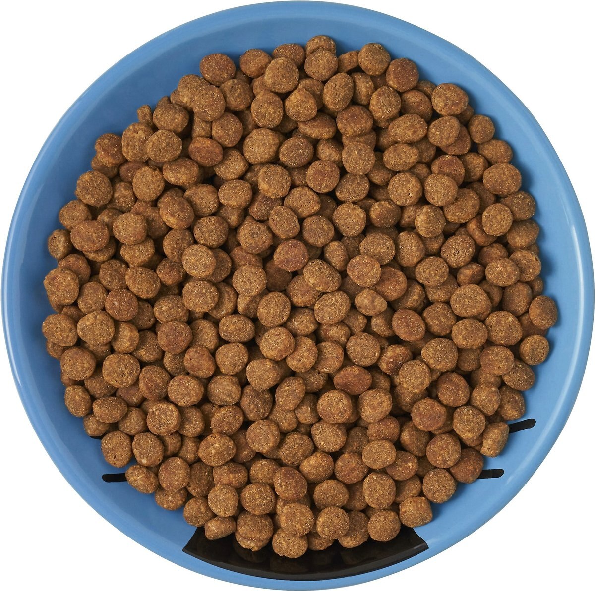 FRISCO Cat Face Non-skid Ceramic Cat Dish, Blue, 0.50 Cup, 2 count ...