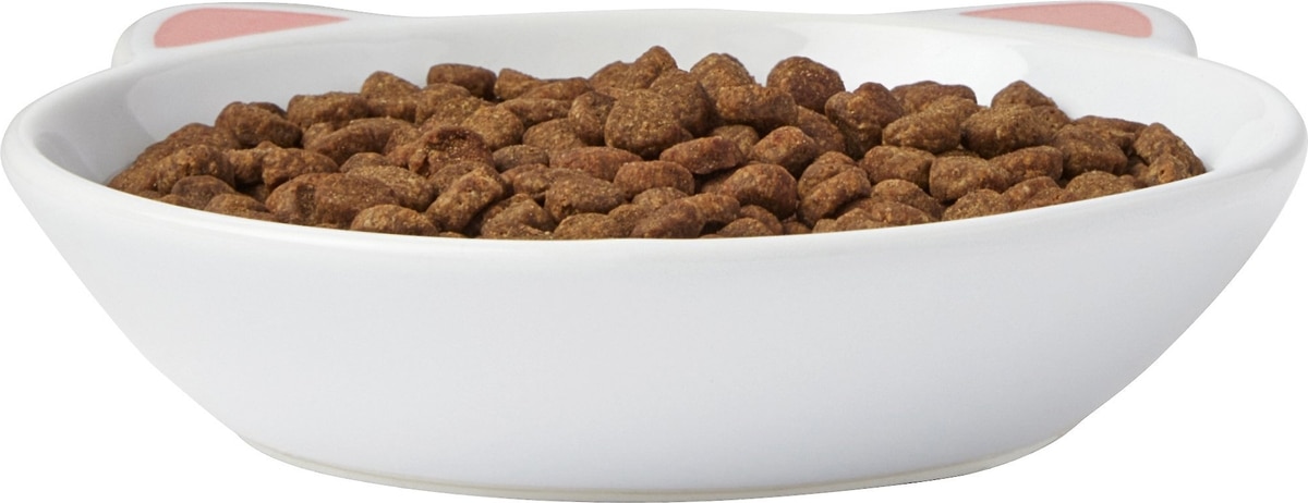 Discontinued - FRISCO Cat Face Non-skid Ceramic Cat Dish, White, 0.5 ...