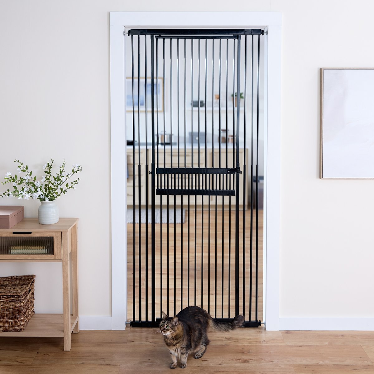 Out of Stock - FRISCO Cat Safety Gate, Black - Chewy.com