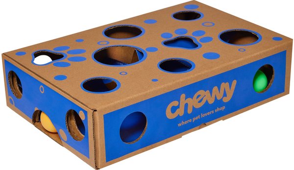 FRISCO Chewy Box Cardboard Interactive Maze Cat Toy with Catnip - Chewy.com