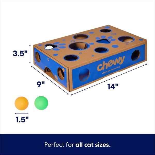 FRISCO Chewy Box Cardboard Interactive Maze Cat Toy with Catnip - Chewy.com