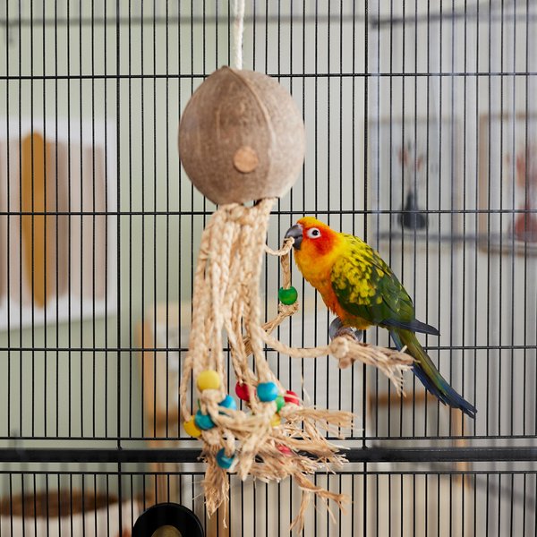 FRISCO Coco Loco Bird Toy - Chewy.com