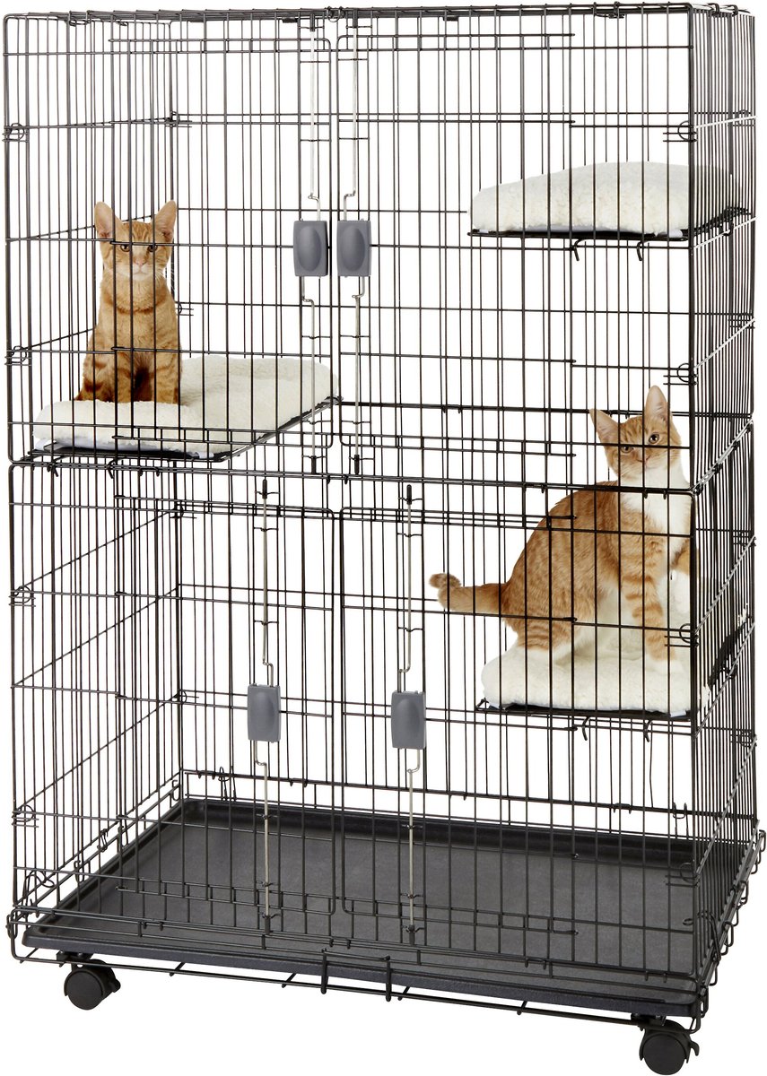 FRISCO Collapsible Wire Cat Cage Playpen - Chewy.com