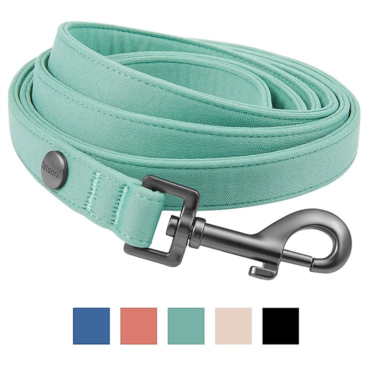 DOG LEASHES FOR SMALL DOGS (Free Shipping) | Chewy